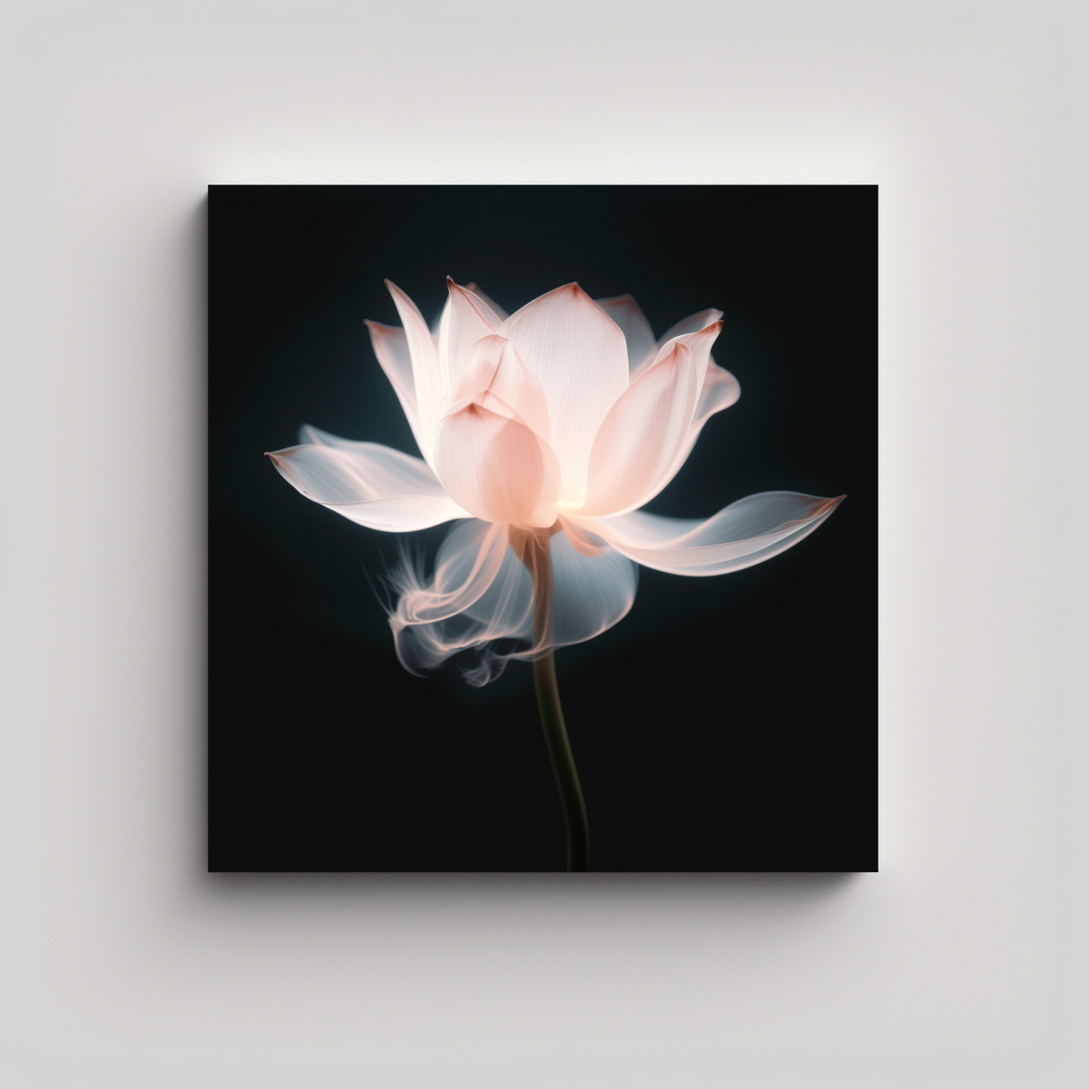 Cuadro Decorativo Lotus En Relieve: Rayos-X Con Luz Rosa Y Blanco - Decocuadros