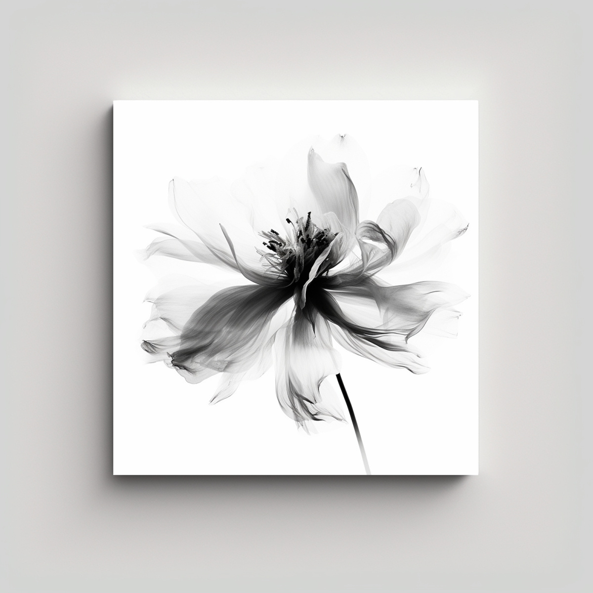 Cuadro Decorativo Composición Equilibrada: Lienzo De Flor En Blanco Y Negro - DecoCuadros