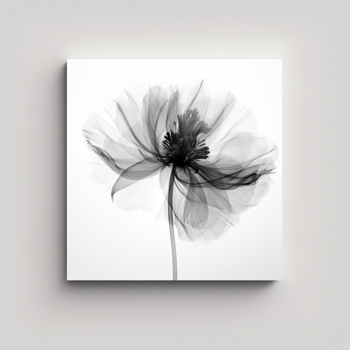 Cuadro Texturizado En Blanco Y Negro Con Flor De Rayos X - DecoCuadros