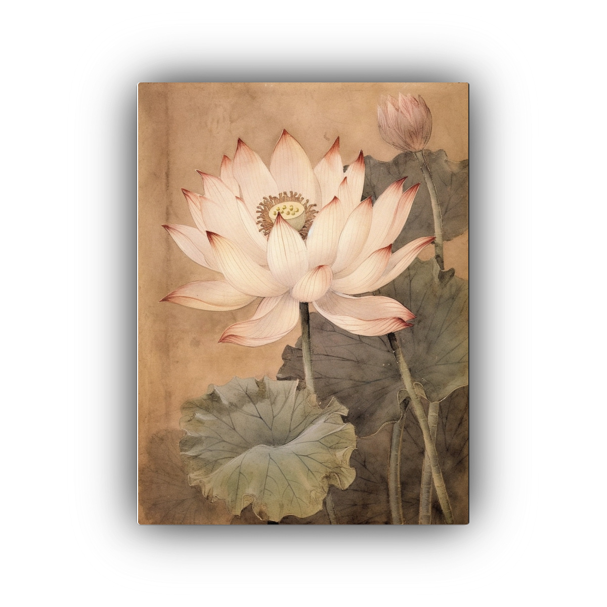 Cuadro Decorativo Estilo Galería Pintura China Gongbi Flor De Loto ...