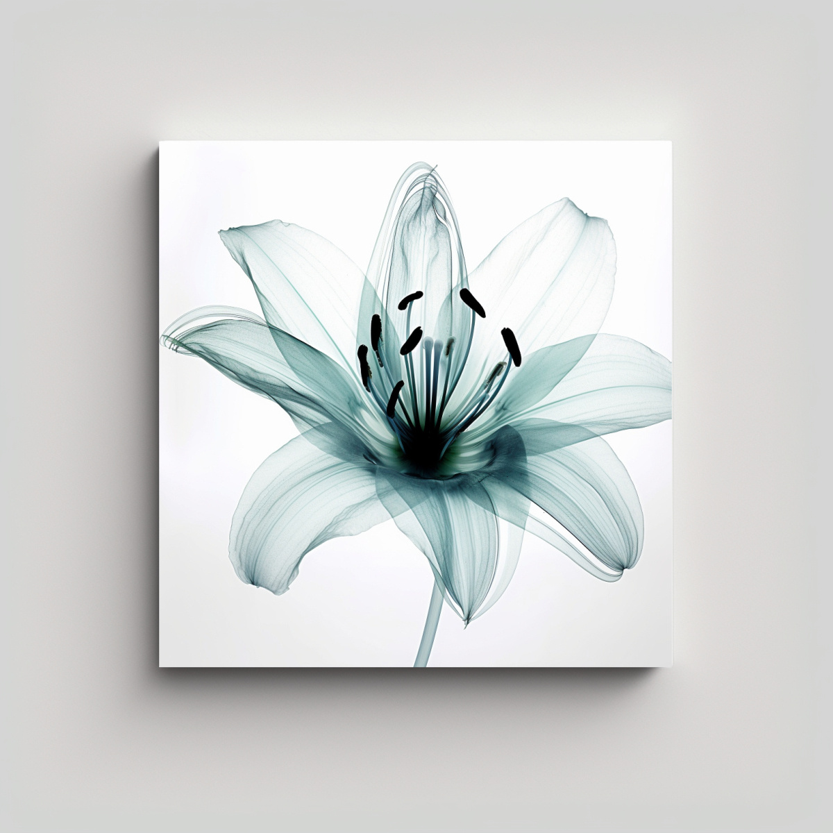 Cuadro De Equilibrio: Rayos-X De Lirio En Aqua Sobre Fondo Blanco - DecoCuadros