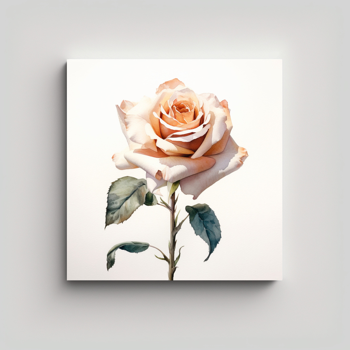 Cuadro De Rosa Blanca Acuarela En Tela De Bastidor Único - DecoCuadros