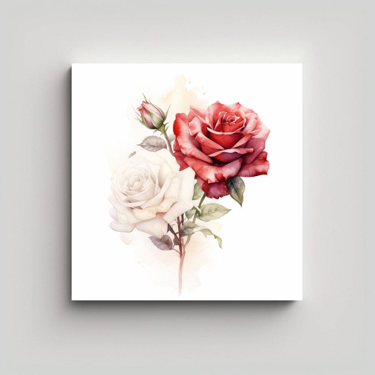 Cuadro Decorativo De Rosa Roja Y Blanca En Acuarela - Lienzo Inspirador - Decocuadros