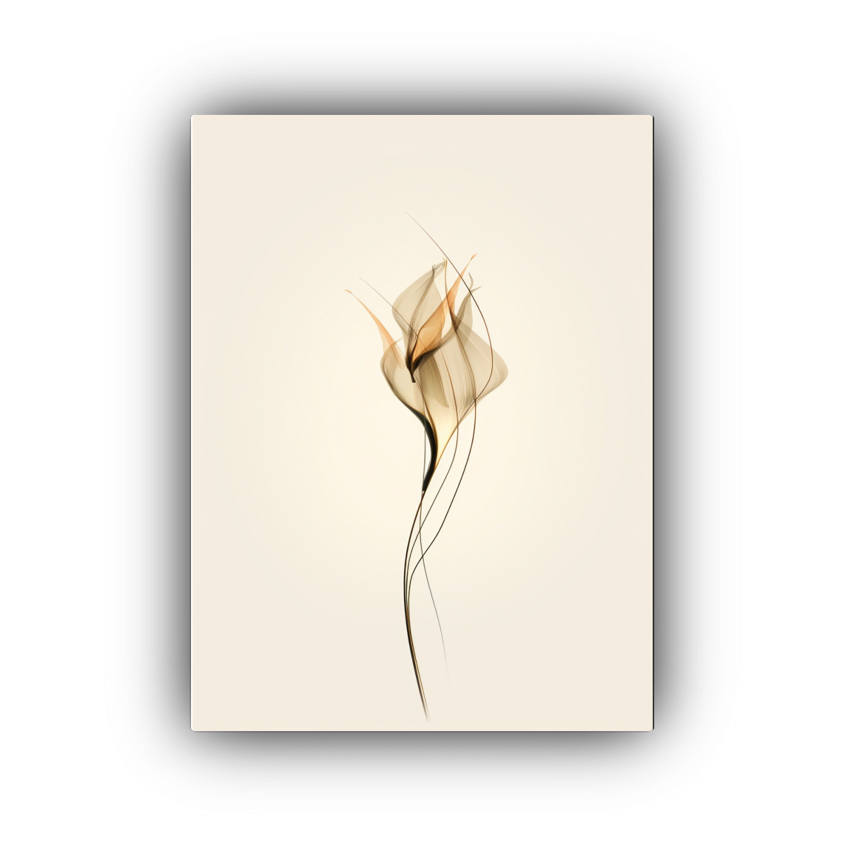 Cuadro Juvenil Estilo Galería: Tulipán Blanco Y Negro Con Palabra Amor - Decocuadros