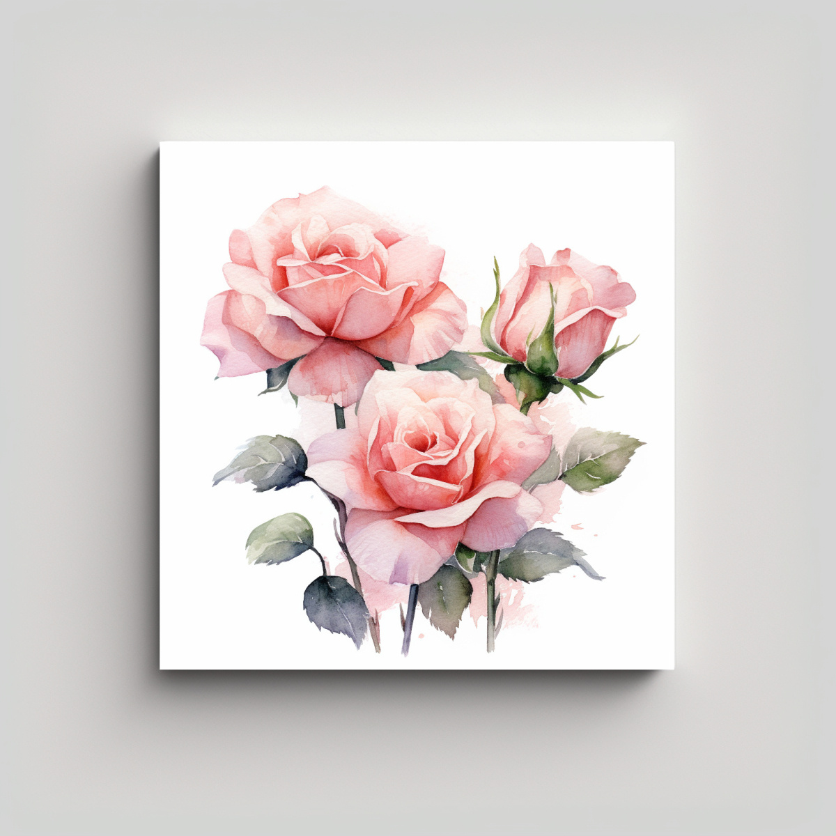 Cuadro Rosa Acuarela Combinacion Composicion Fondo Blanco Decorativo ...