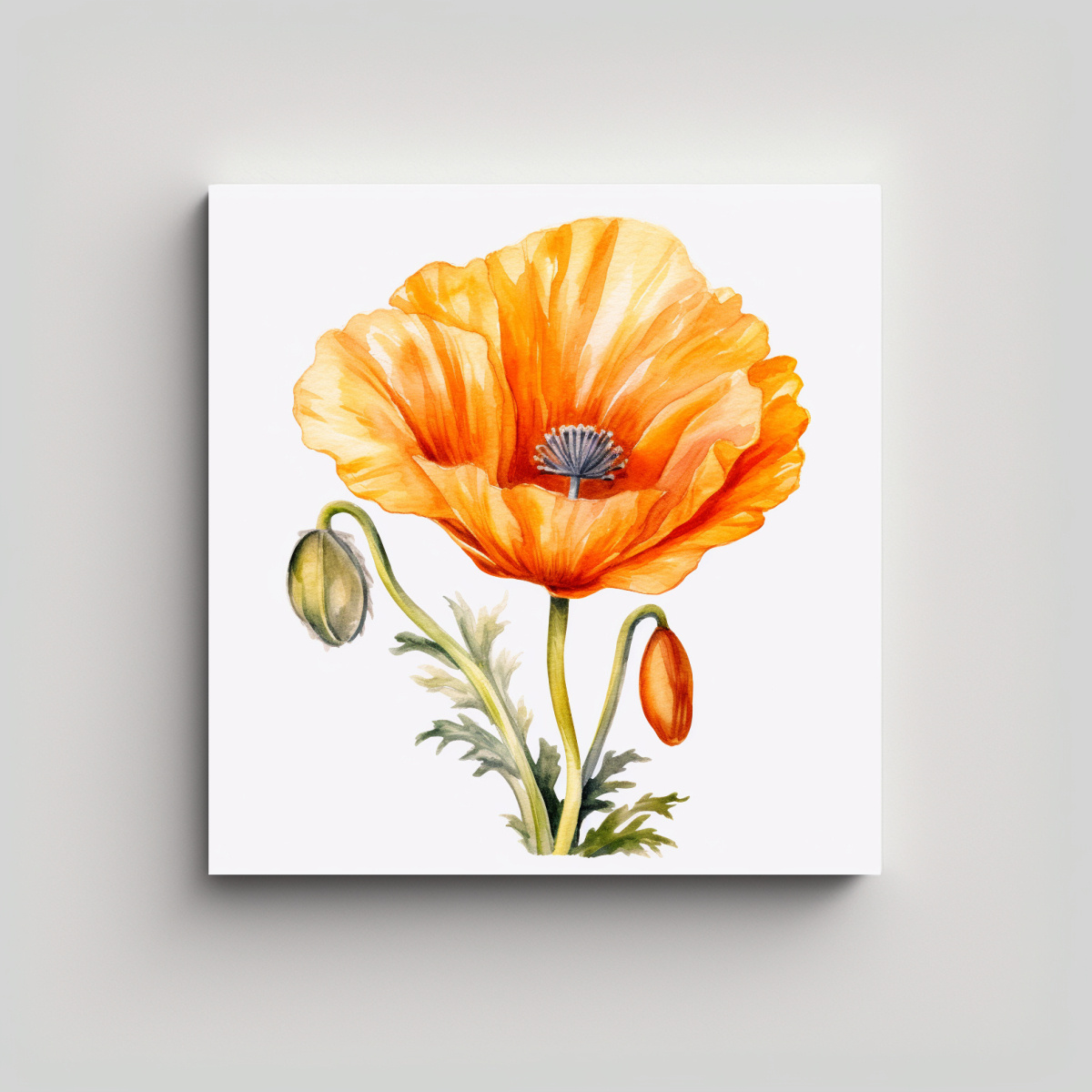 Cuadro De Amapola Californiana En Acuarela Naranja - DecoCuadros