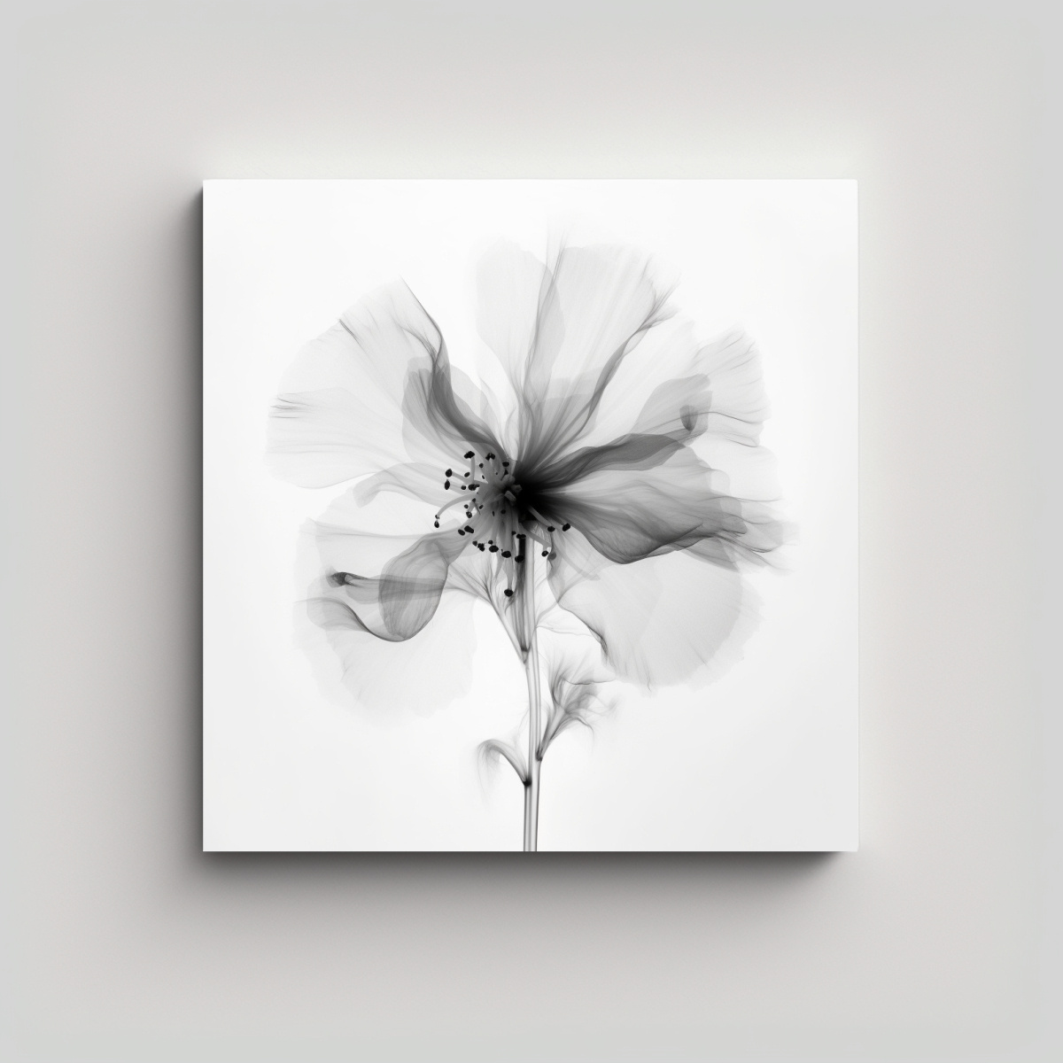 Lienzo Decorativo De Flores En Rayos-X En Blanco Y Negro Para Baño - DecoCuadros