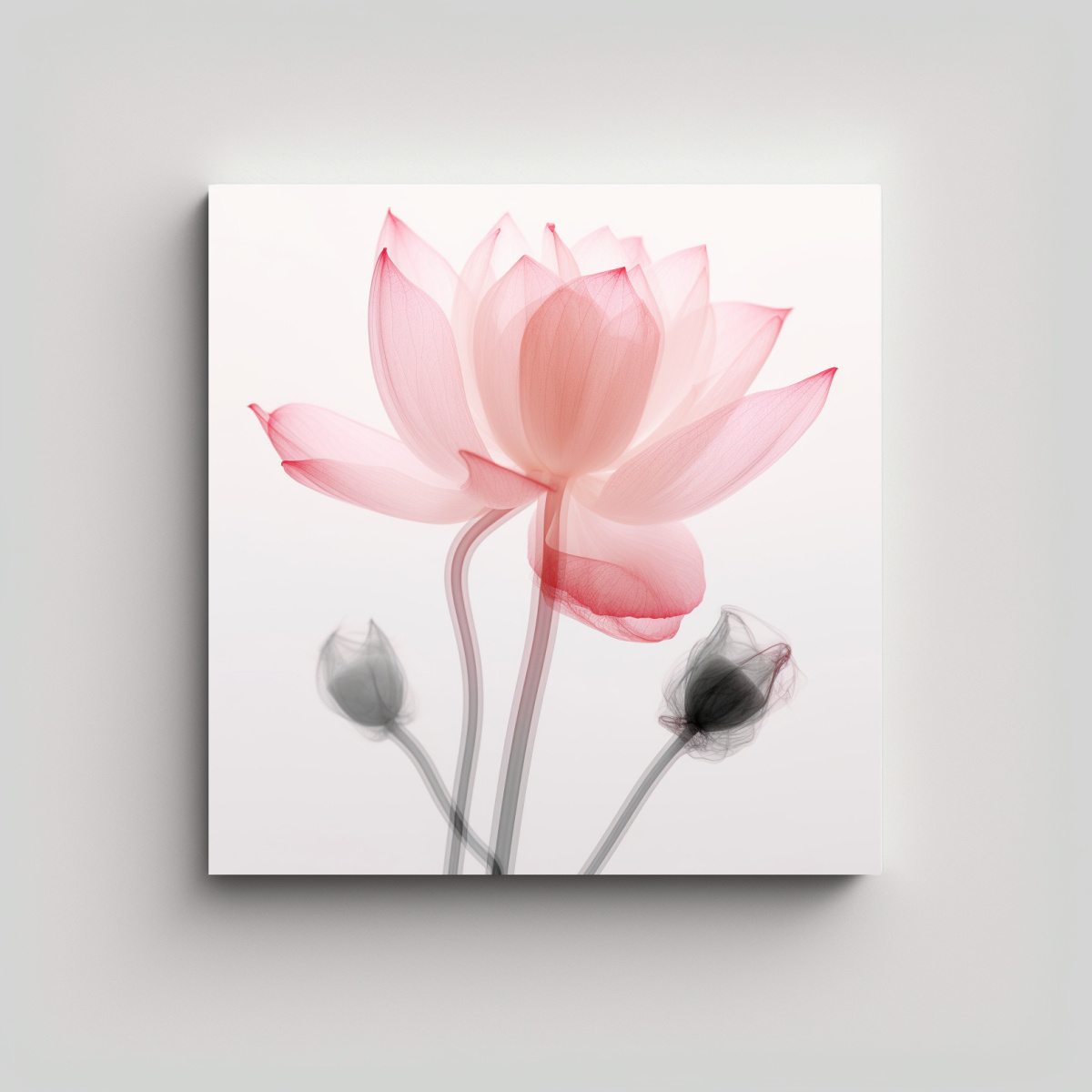 Cuadro Decorativo De Loto Rosa Minimalista Con Efecto Rayos-X - DecoCuadros