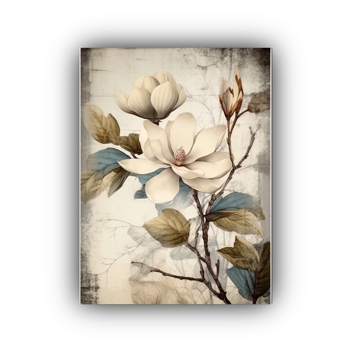 Cuadros Decorativos De Magnolias En Blanco Y Negro - Decocuadros