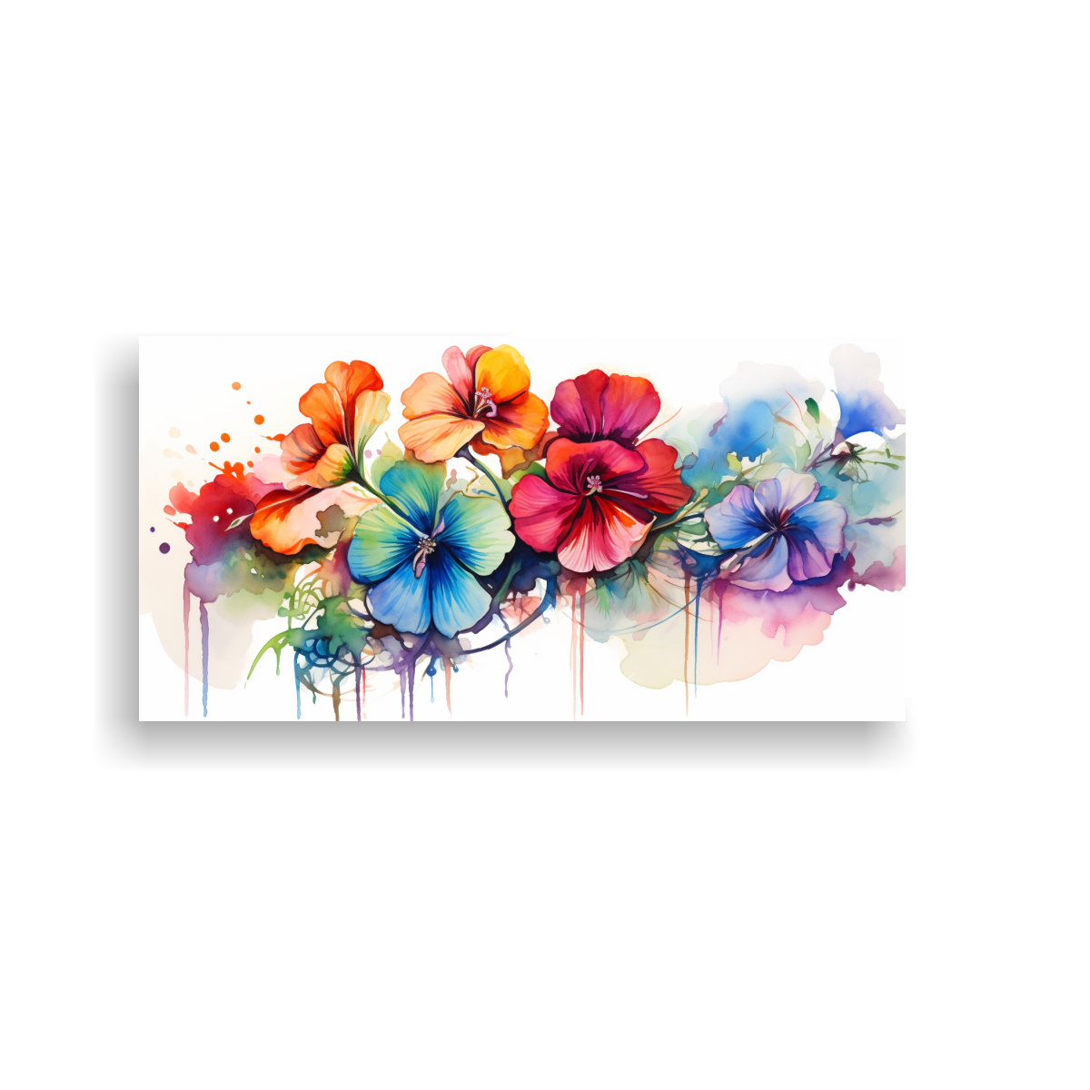 Cuadro Dibujo Simplicidad A Geranium Rainbow - DecoCuadros