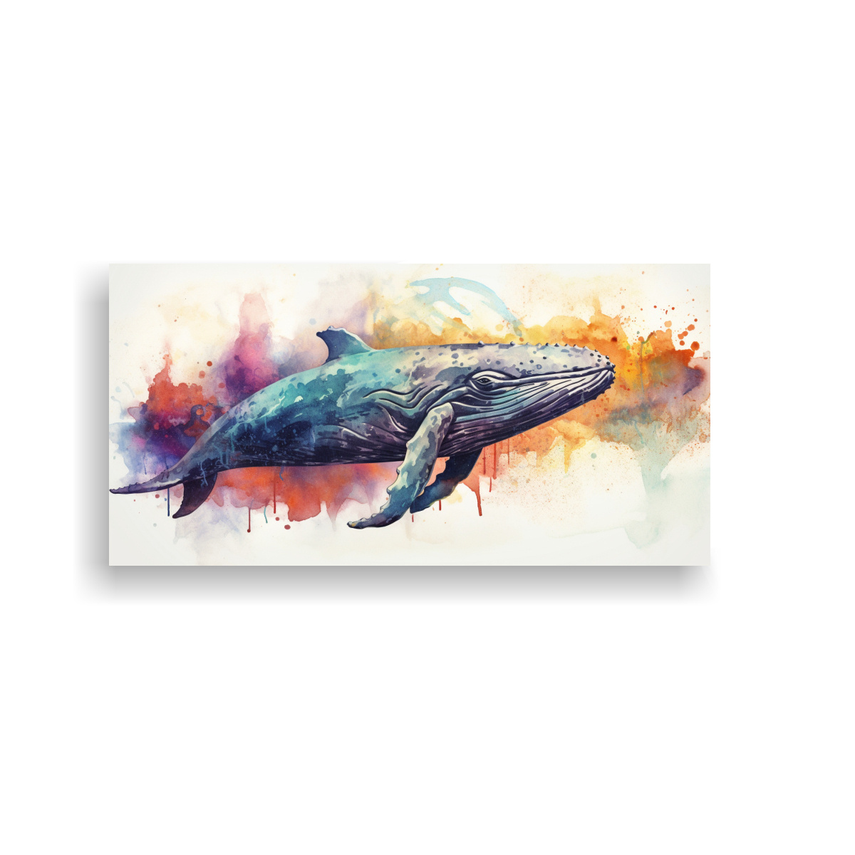 Cuadro Decorativo De Ballena Gris En Acuarela - ¡Decora Con Estilo ...