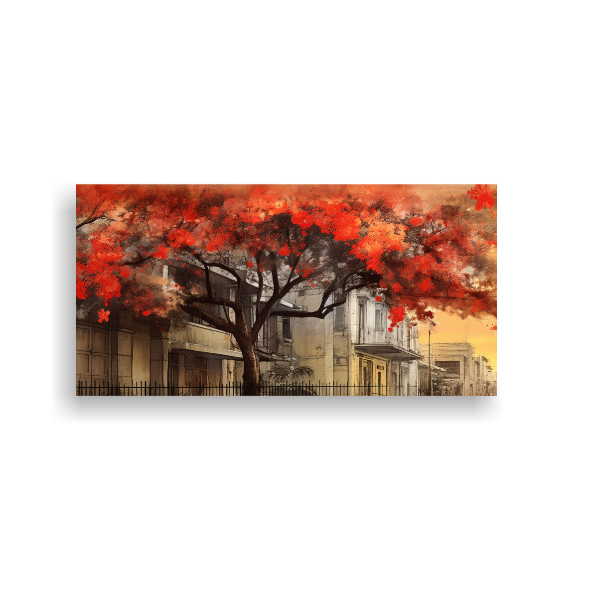 Cuadro Fotografía Street Art Xen árbol Flamboyán En Flor Al Atardecer ...